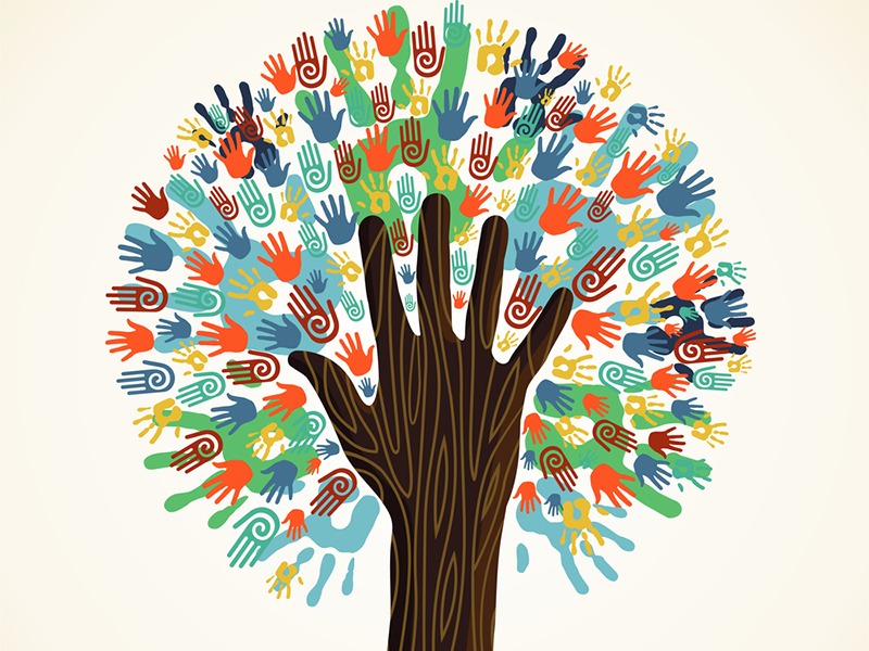 INCLUSÃO: “Essa moda pega” – Clique Diário